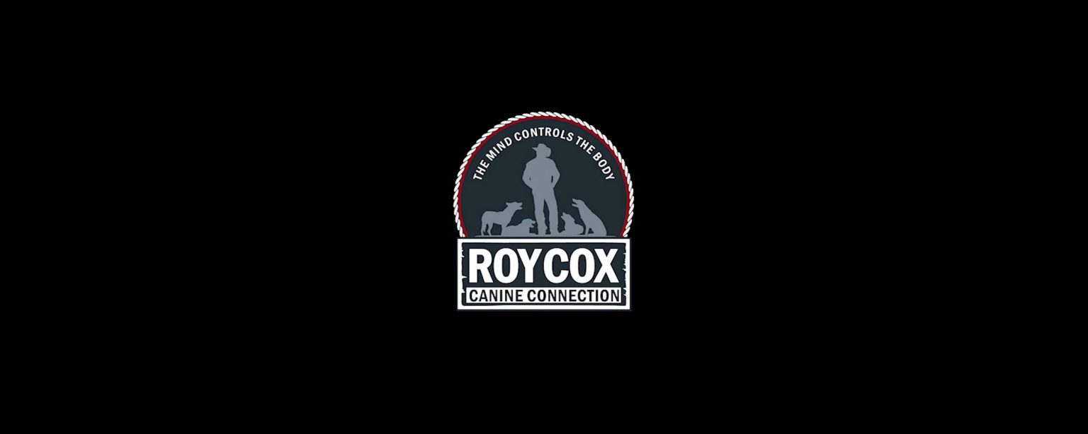 Roy Cox Cattle Dog Sells for Record $27,500 – Roy Cox Canine Connection